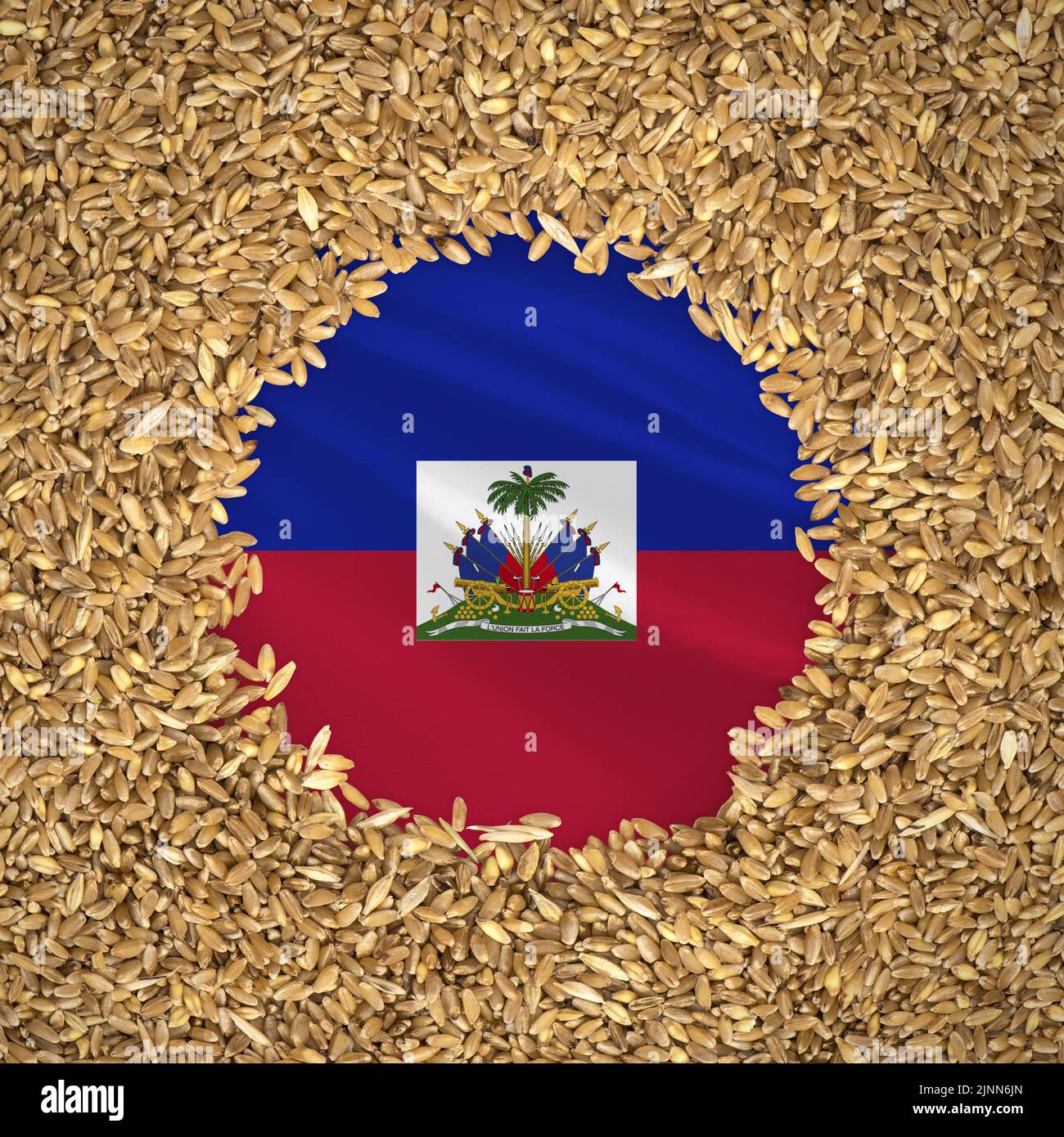 Drapeau d'haïti avec grains de blé. Concept naturel de blé entier avec ...
