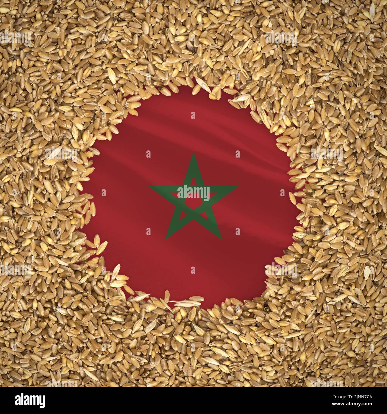 Drapeau du maroc avec grains de blé. Concept naturel de blé entier avec ...