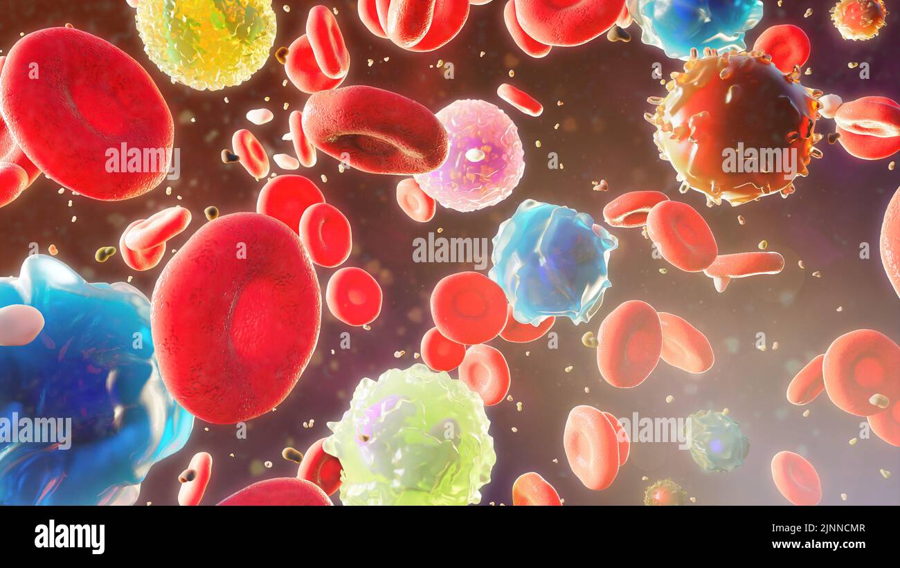 éosinophile dans Banque de photographies et d’images à haute résolution ...