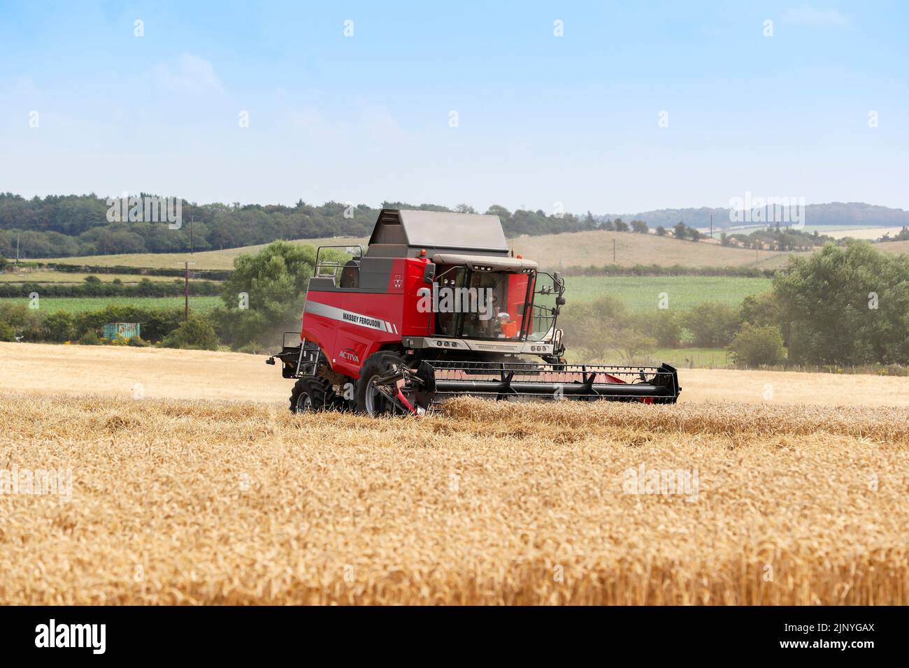 Agriculteur utilisant une moissonneuse-batteuse Activa 7345S de Massey Ferguson, avec un moteur ...