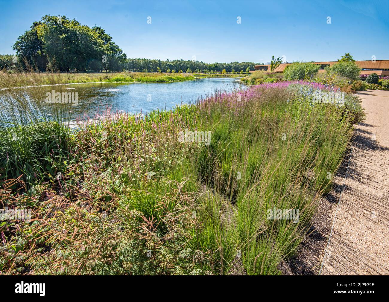 Ancien domaine de worsley new hall Banque de photographies et d’images ...