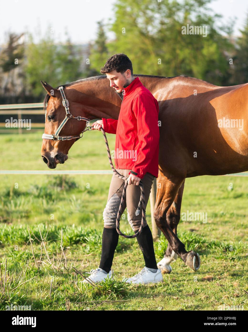 Chevaux et cavalier Banque de photographies et d’images à haute ...
