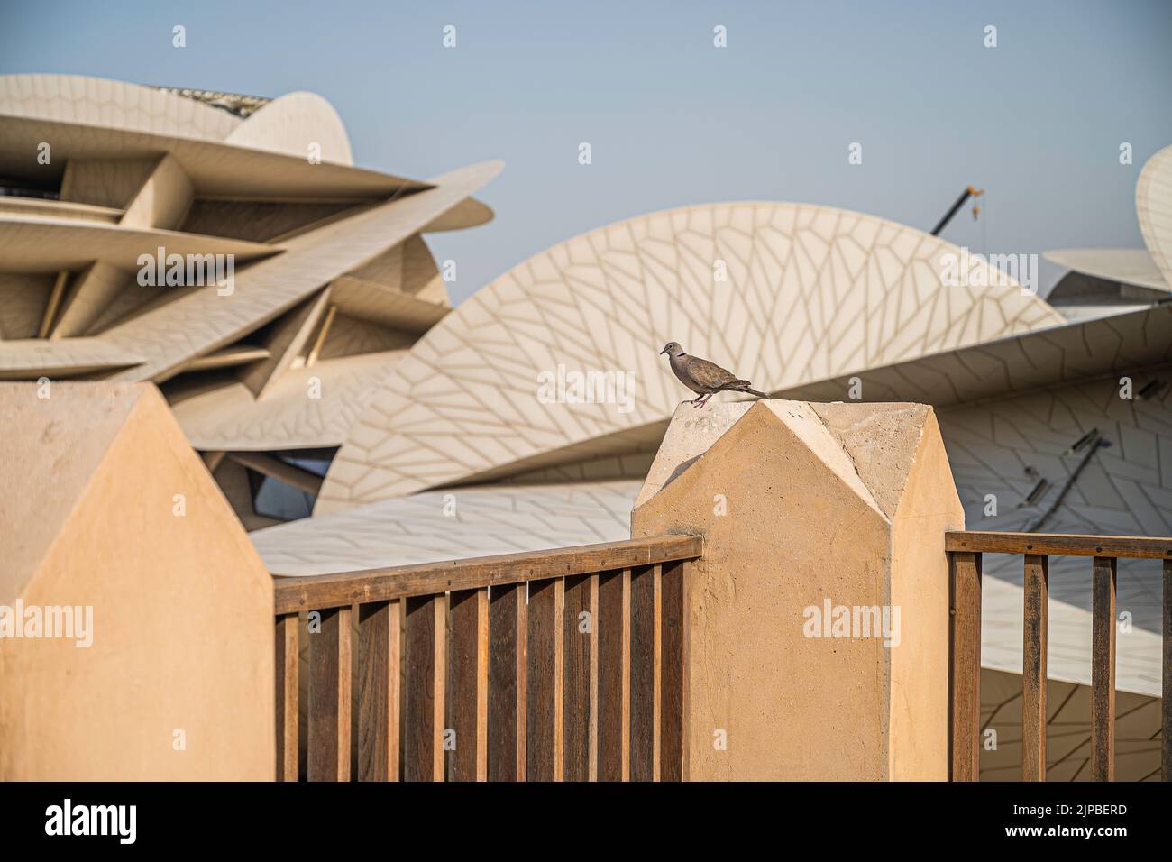 Qatar 2022 mundial de futbol Banque de photographies et d’images à haute résolution - Alamy