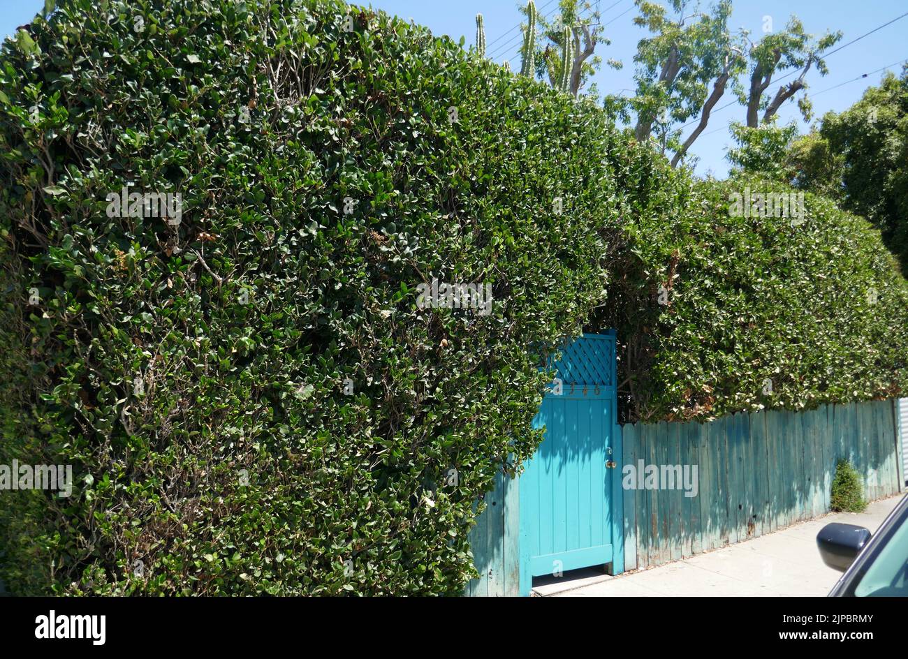 Sam philpps Banque de photographies et d’images à haute résolution - Alamy