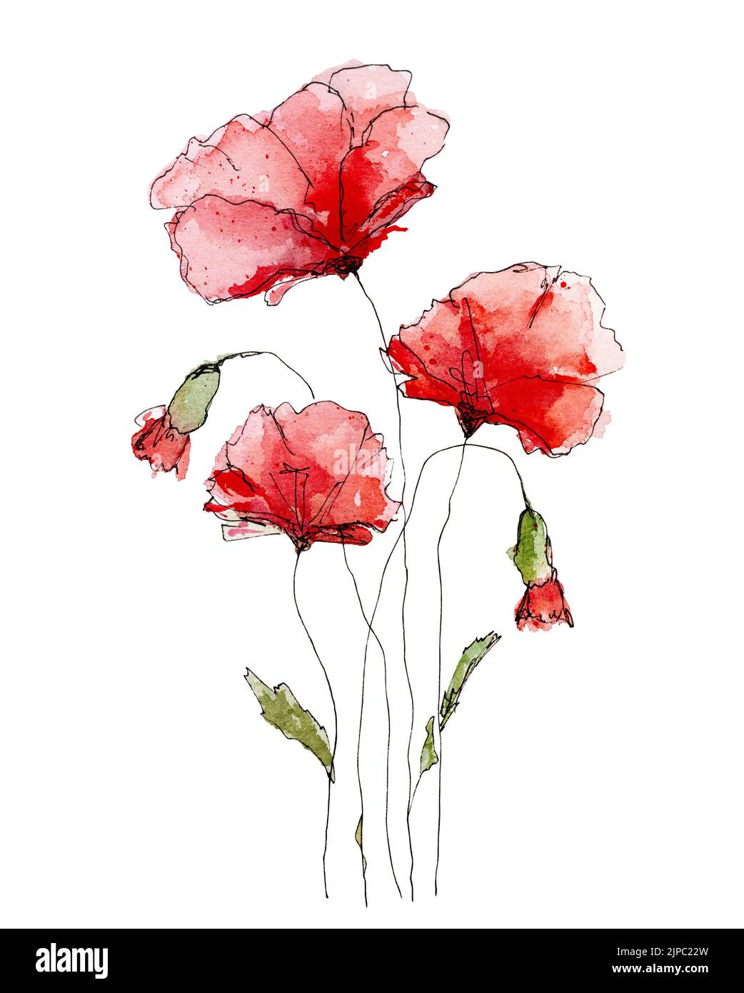 Peinture de fleurs l'aquarelle Banque de photographies et d’images à ...