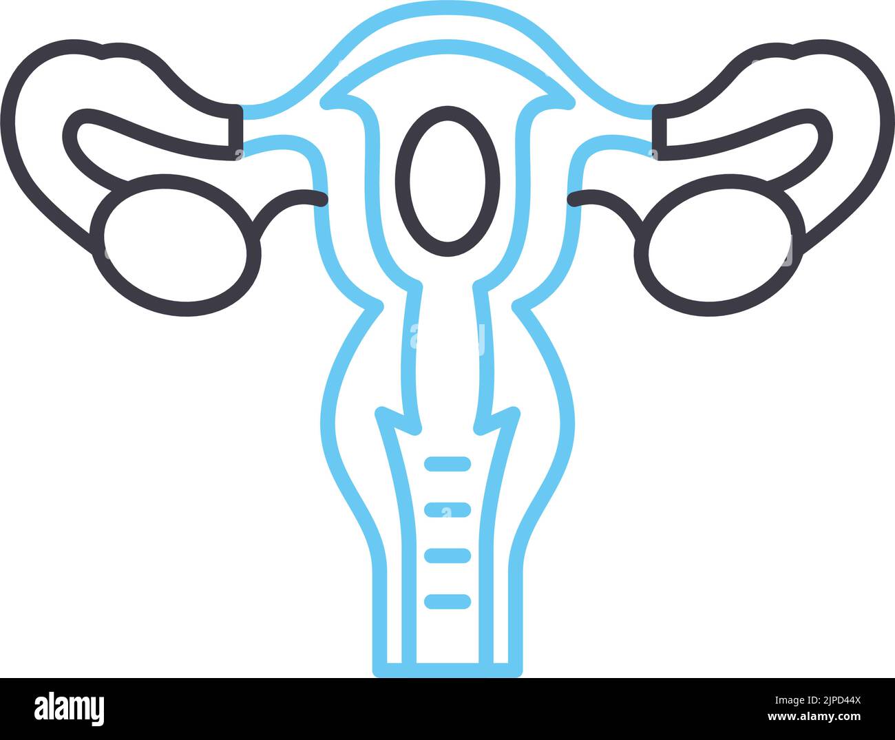 icône de ligne de l'utérus, symbole de contour, illustration ...