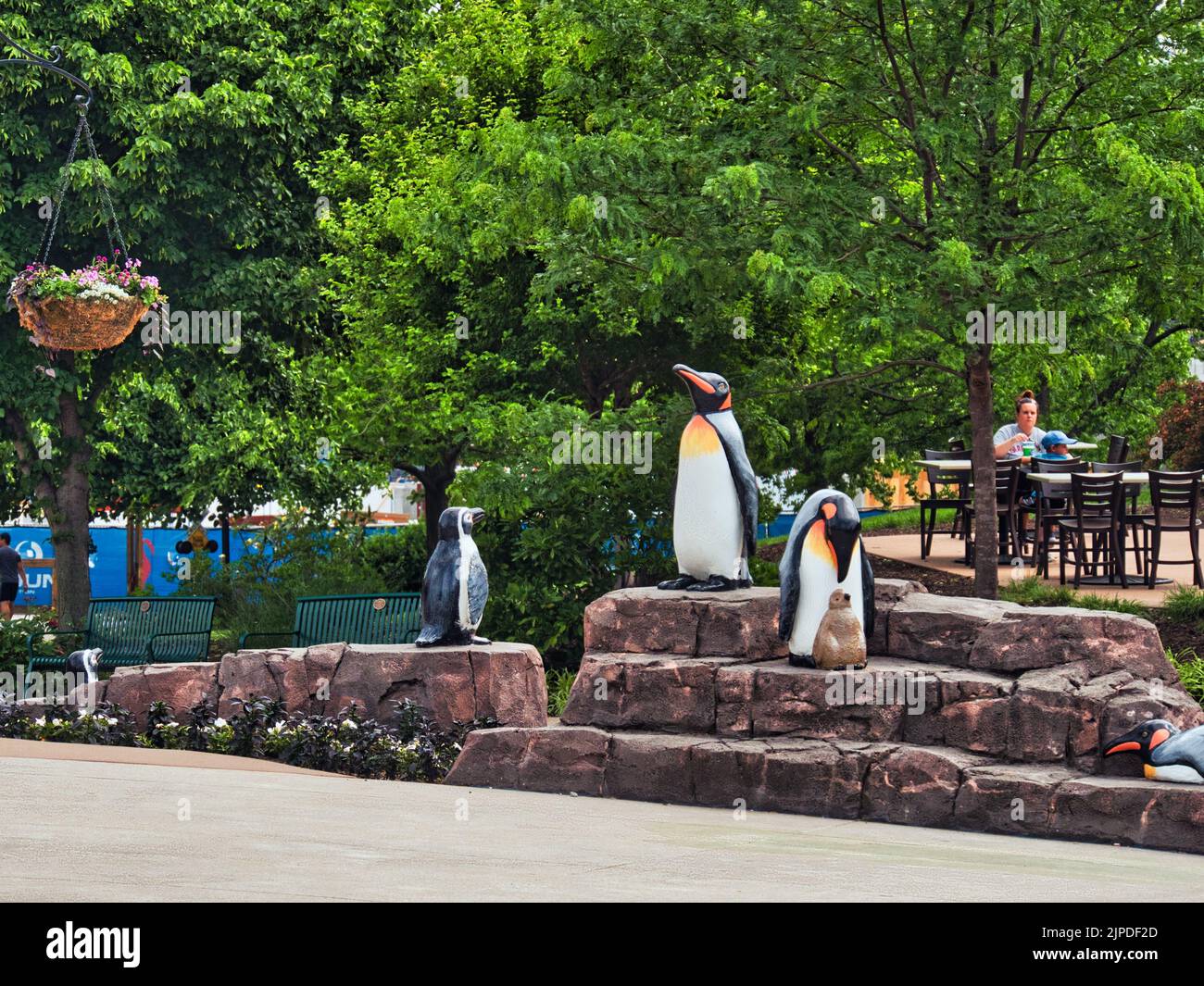 Zoo de kc Banque de photographies et d’images à haute résolution - Alamy