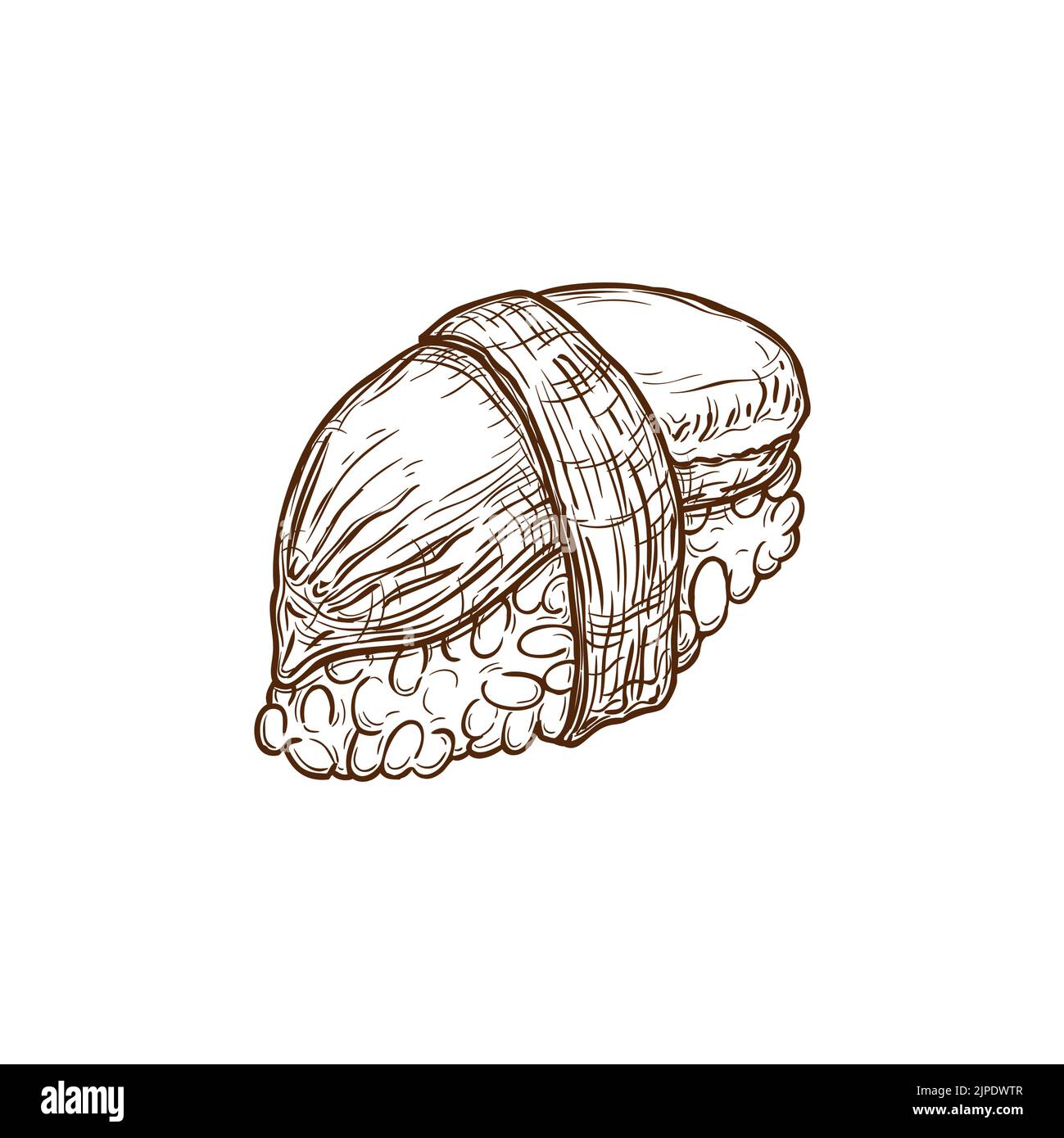 Sushi nigiri au poisson, fruits de mer, cuisine japonaise, nigirizushi ...