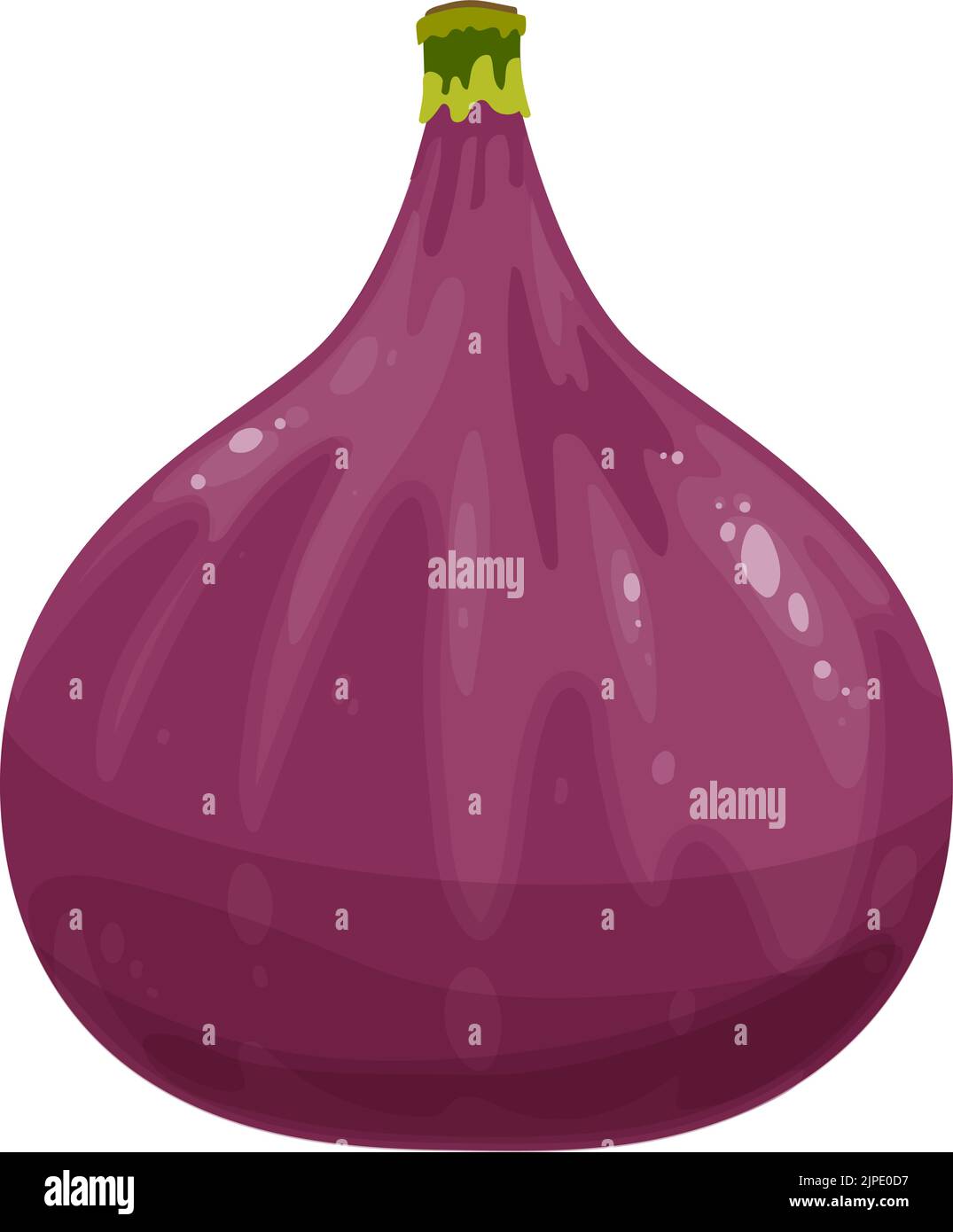 Fruto comestible de ficus carica Banque d'images vectorielles - Alamy