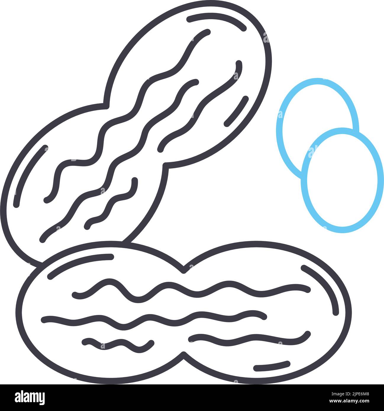 icône de ligne d'arachide, symbole de contour, illustration vectorielle ...
