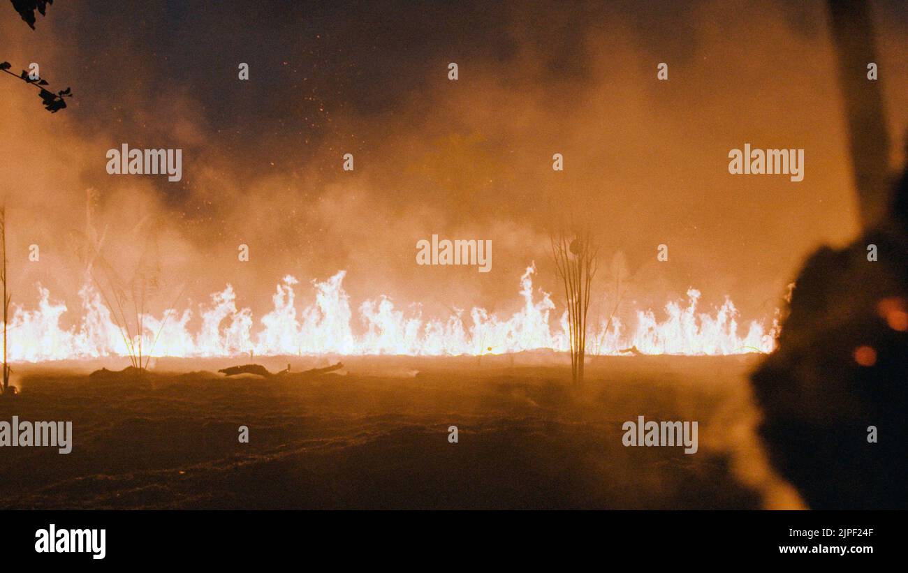 LE TERRITOIRE, un feu illuminé par les fermiers locaux brûle dans la ...