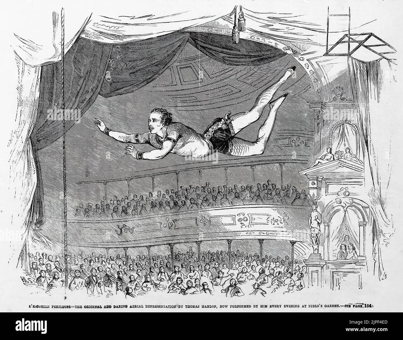 Thomas hanlon Banque de photographies et d’images à haute résolution ...