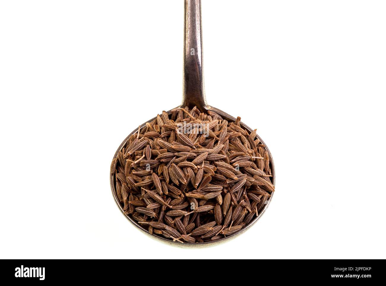 Le cumin est une plante à fleurs, l'aluminium-cyminum, de la famille ...