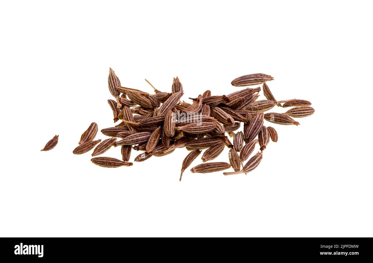 Le cumin est une plante à fleurs, l'aluminium-cyminum, de la famille ...