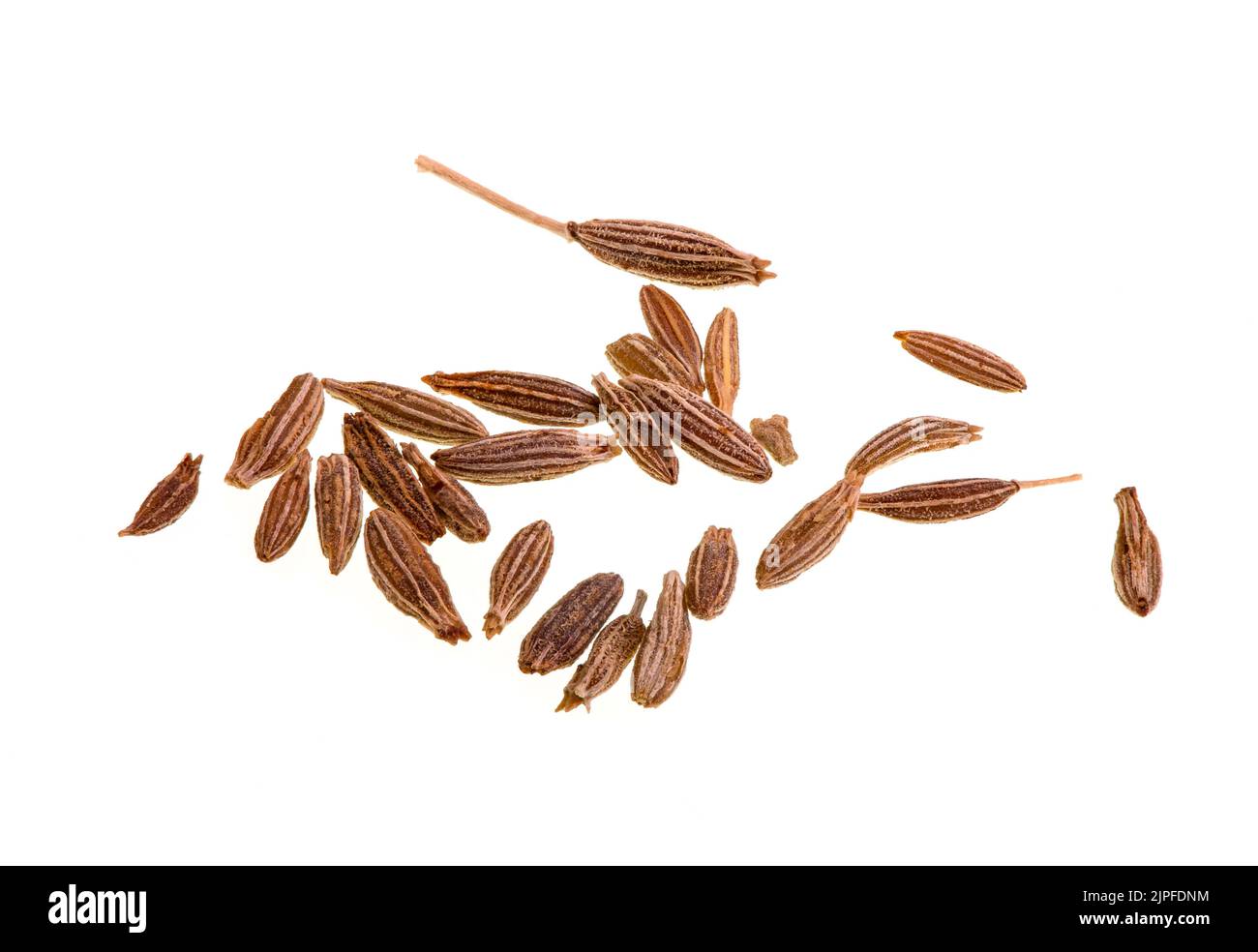 Le cumin est une plante à fleurs, l'aluminium-cyminum, de la famille ...