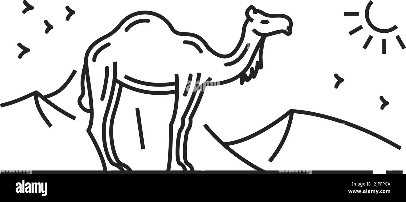 Camel près de l'Egypte monuments de la pyramide isolé contour icône ...