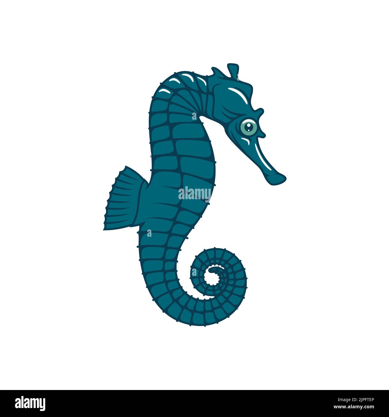 Hippocampe marin isolé petit souhait avec queue courbée. Vecteur de ...