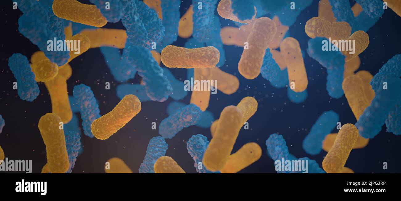 Le microbiome humain, microbes du matériel génétique qui vivent sur et ...