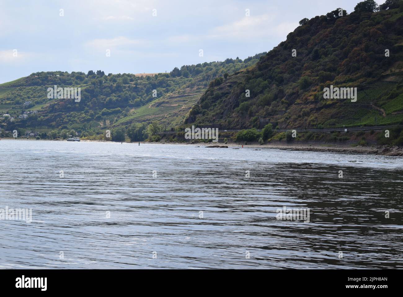 Les récifs dans le Rhin au sud de Loreley, dans la sécheresse des ...