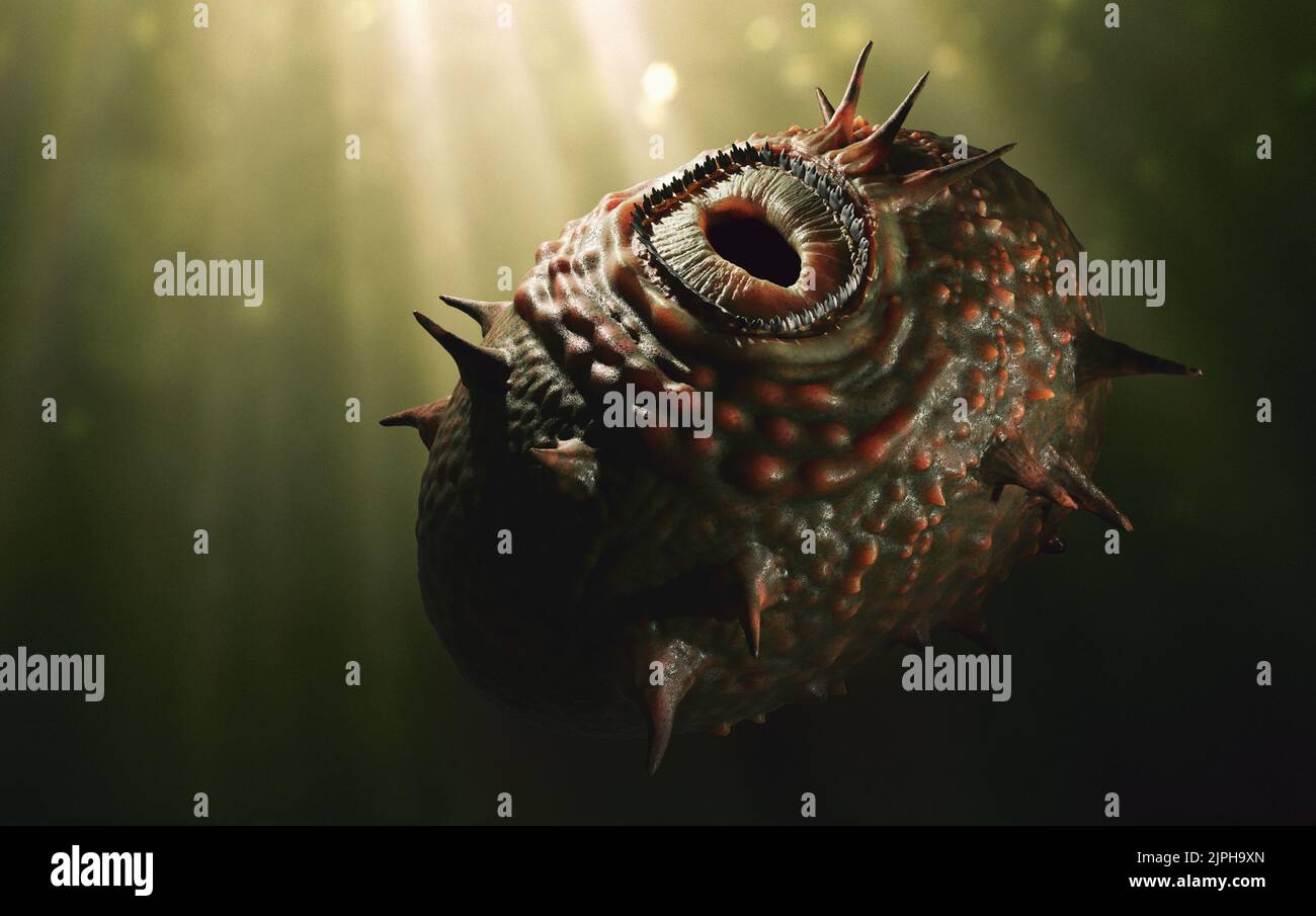 Saccorhytus coronarius Banque de photographies et d’images à haute ...