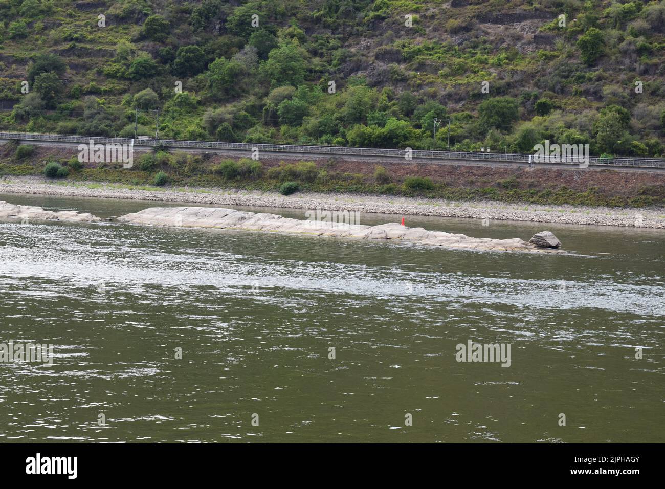 Les récifs dans le Rhin au sud de Loreley, dans la sécheresse des ...