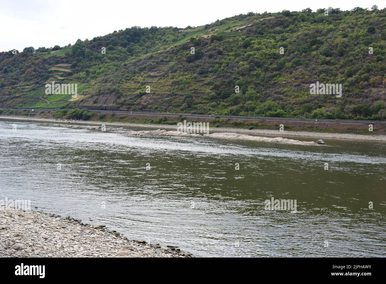 Les récifs dans le Rhin au sud de Loreley, dans la sécheresse des ...