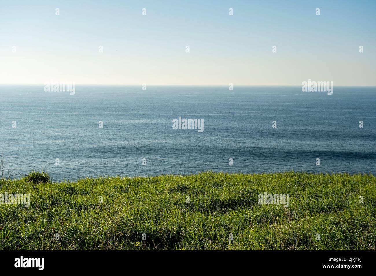 Pelouse verte et eau de mer Banque de photographies et d’images à haute ...