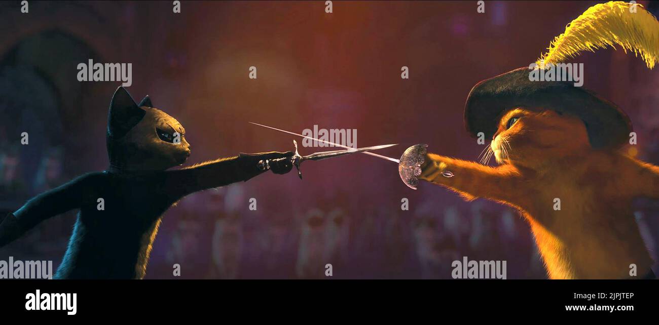 Le chat botté Banque de photographies et d’images à haute résolution ...