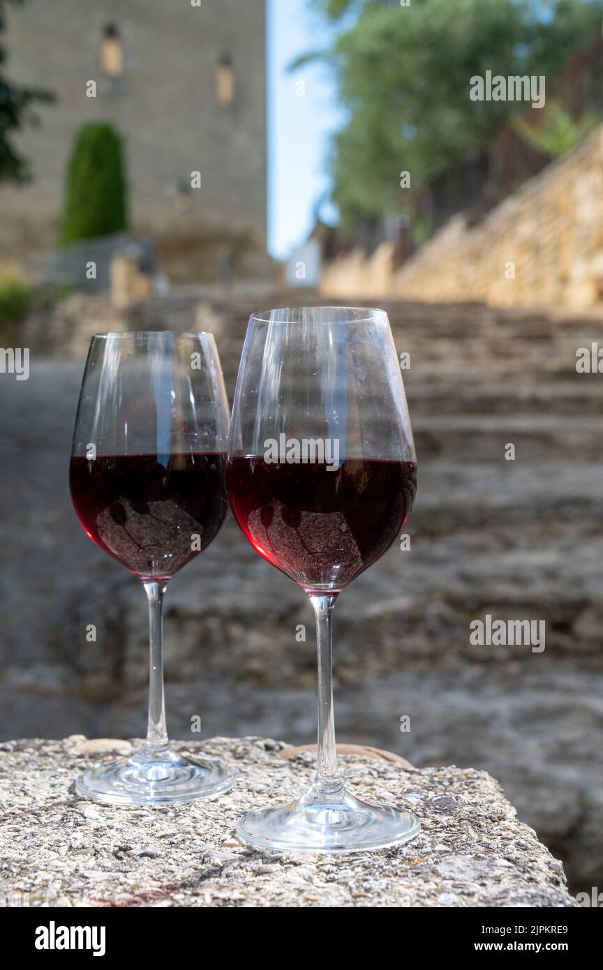 Visite des vins avec dégustation de vin sec rouge et ruines du château ...