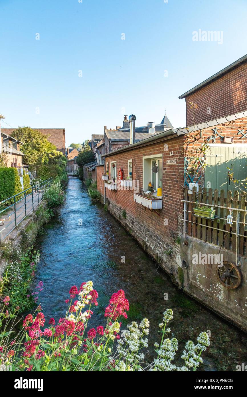 France, Seine-Maritime, Côte d'Albatre, pays de Caux, Veules les Roses ...