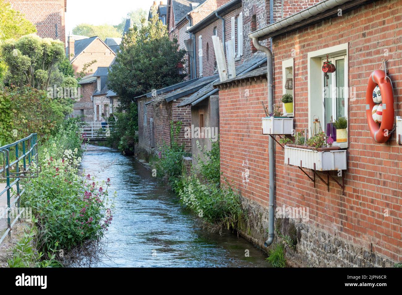 France, Seine-Maritime, Côte d'Albatre, pays de Caux, Veules les Roses ...