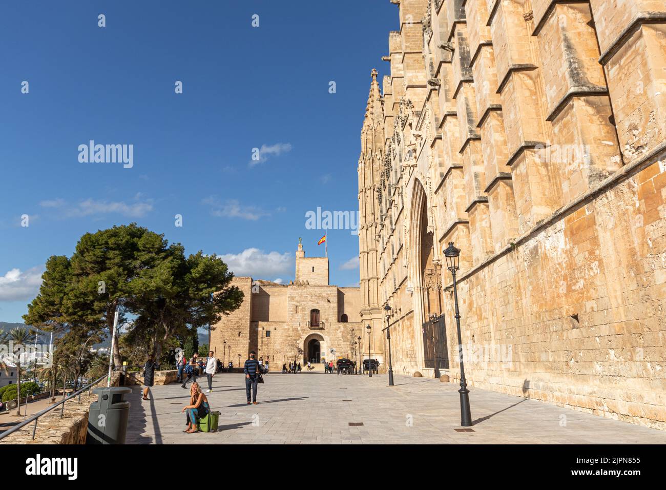 Palma cathedral gate Banque de photographies et d’images à haute ...