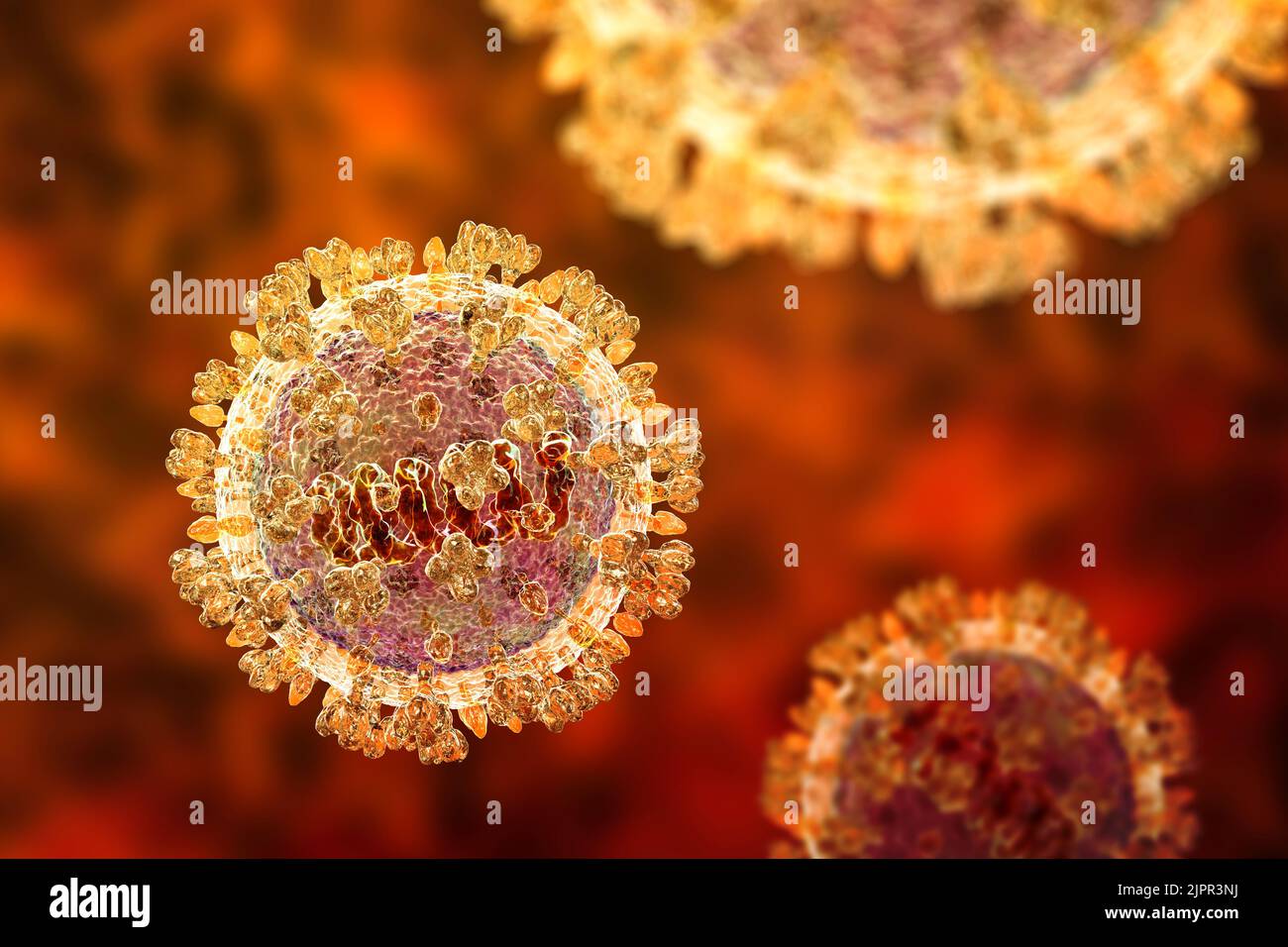 Virus langya Banque de photographies et d’images à haute résolution - Alamy