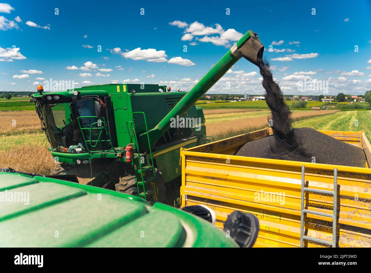 Machine agricole verte collectant les graines noires ou meulées sur le ...