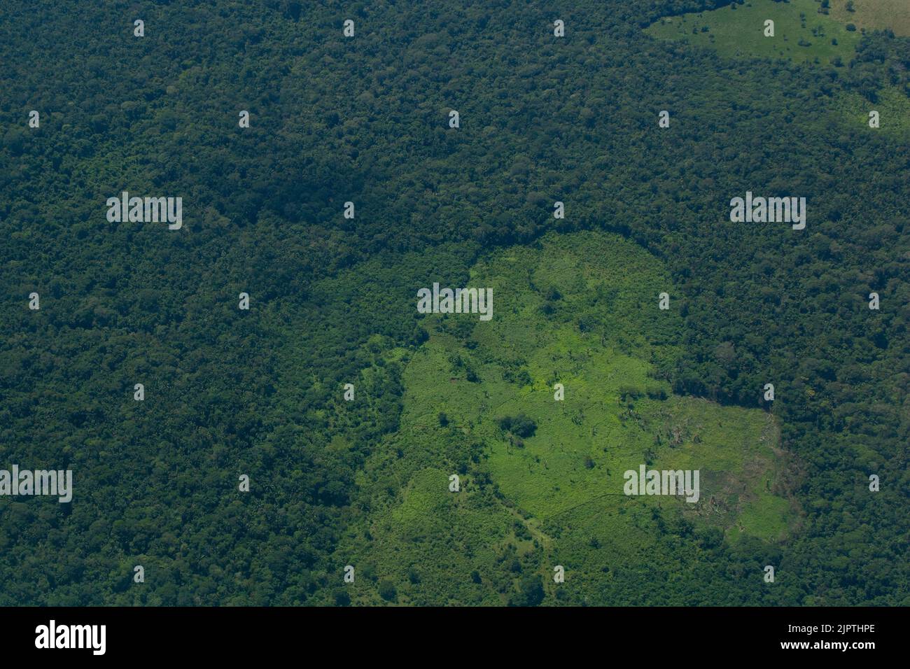 Vue aérienne d'une zone de forêt tropicale dans le département de Meta ...