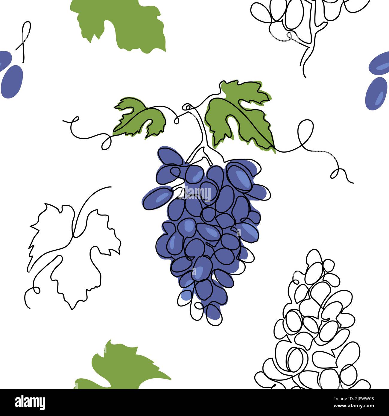 Grapevine drawing Banque de photographies et d’images à haute ...