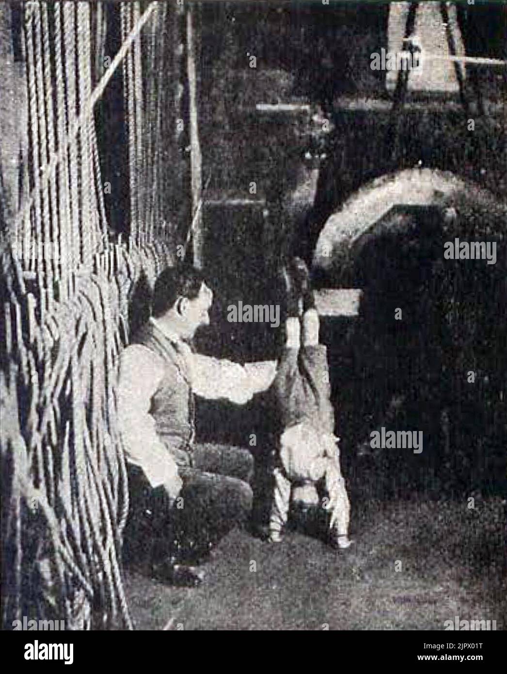 Les hanlons Banque de photographies et d’images à haute résolution - Alamy