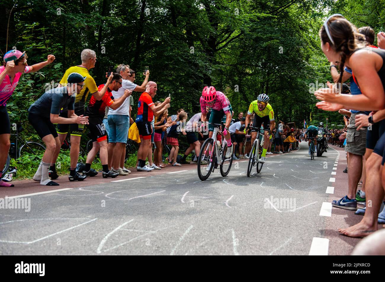 Julius van den Berg de l'équipe EF avec le vélo rose maillot a été le ...