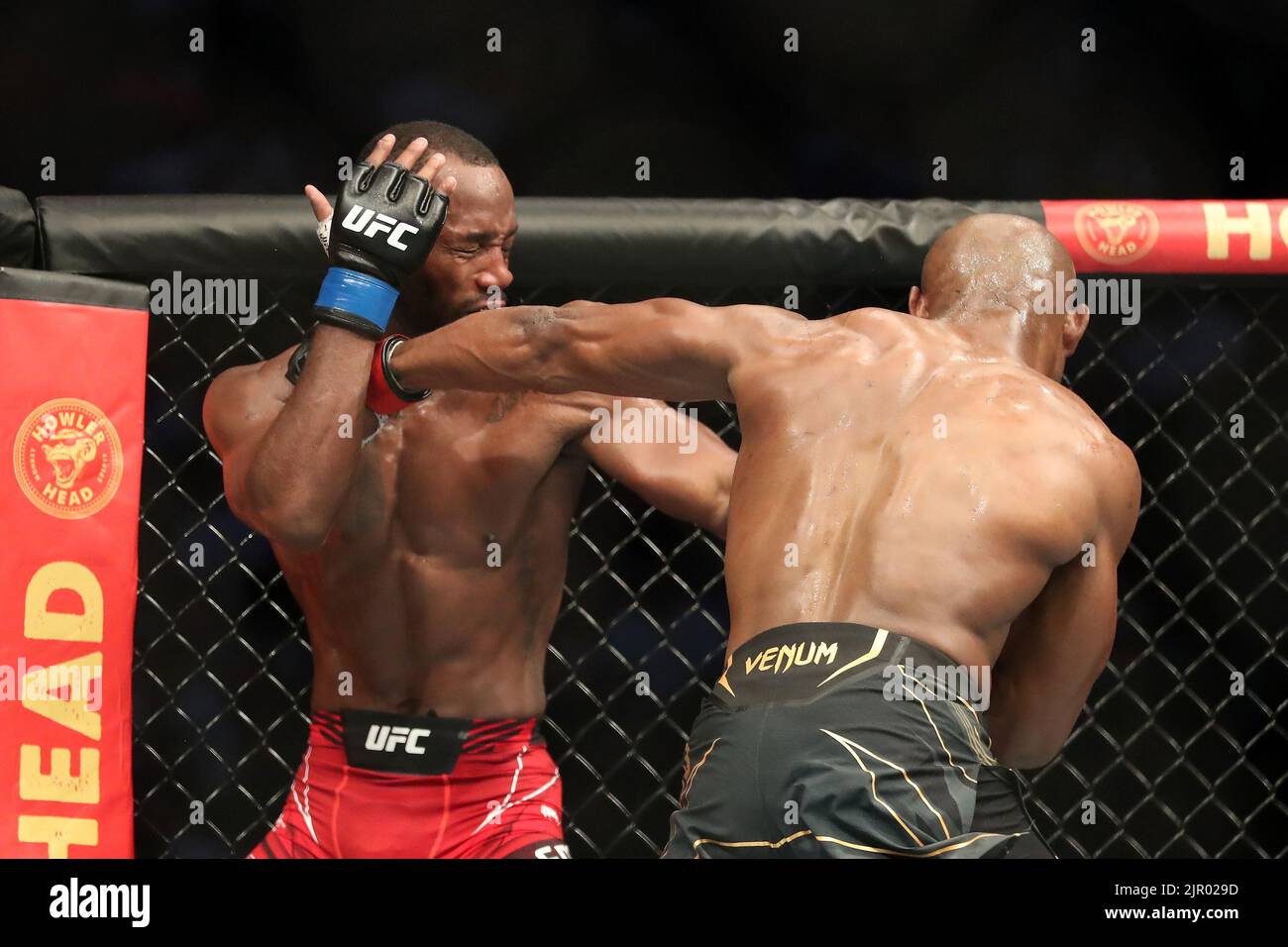 Champion poids welter ufc Banque de photographies et d’images à haute ...