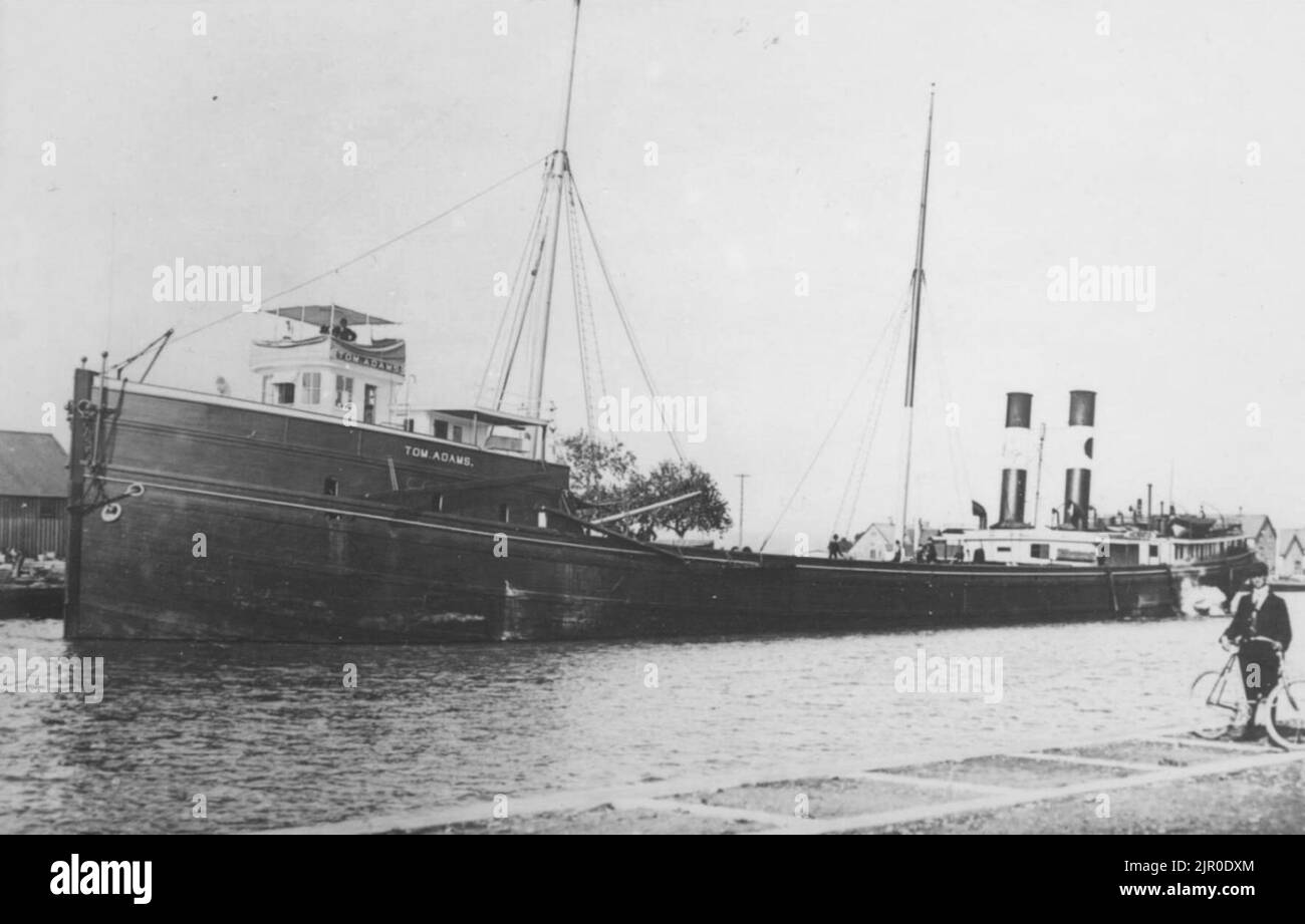 Tom adams Banque de photographies et d’images à haute résolution - Alamy
