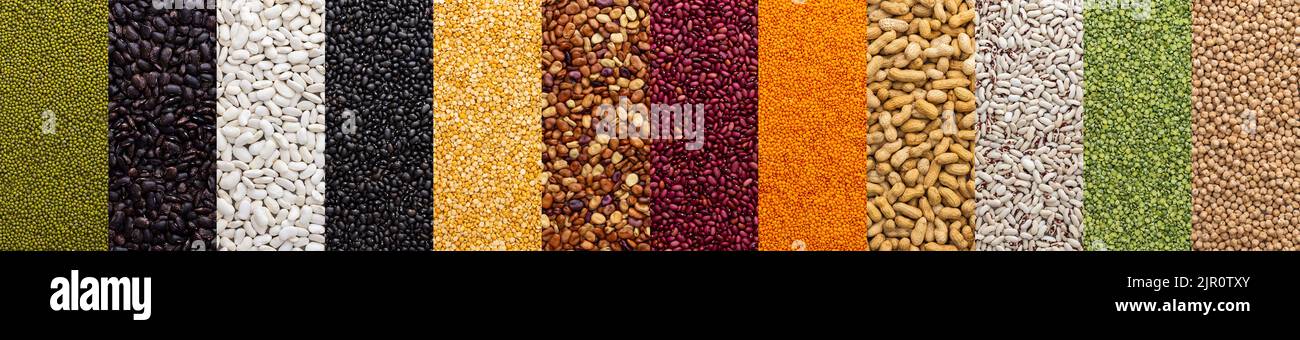 Bannière de différents types de légumineuses, pois chiches et pois ...