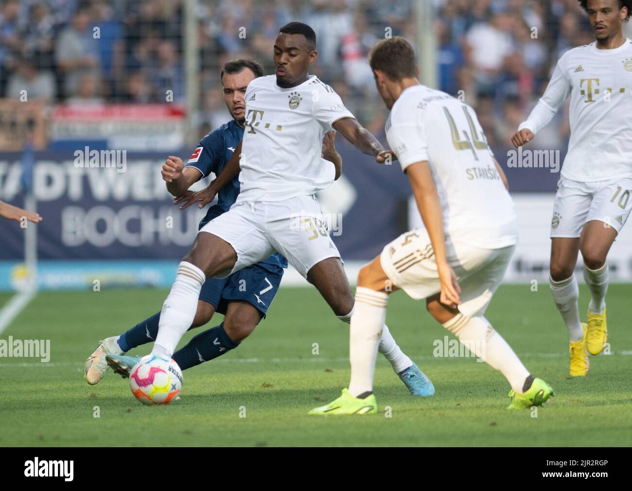 Kevin stoger vfl bochum Banque de photographies et d’images à haute ...