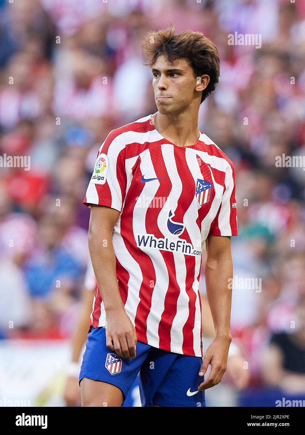 Joao Felix de l'Atlético de Madrid pendant le match de la Liga entre l ...