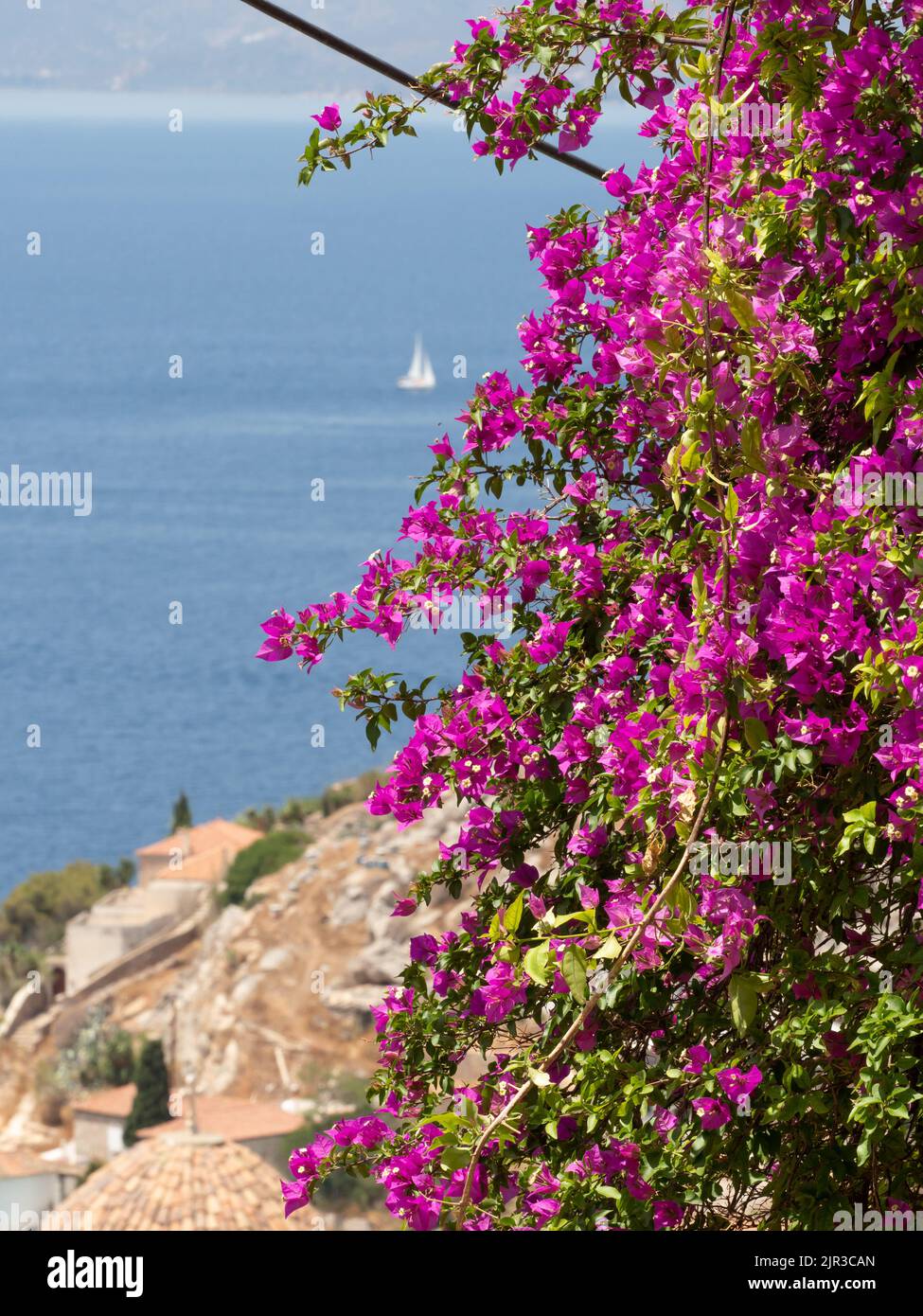 îles sarconiques Banque de photographies et d’images à haute résolution ...
