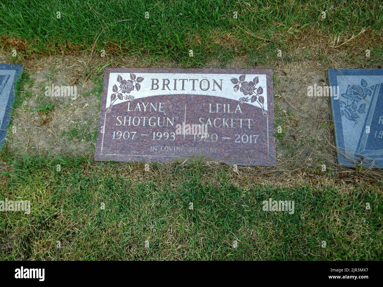 Fusil de chasse layne britton Banque de photographies et d’images à ...