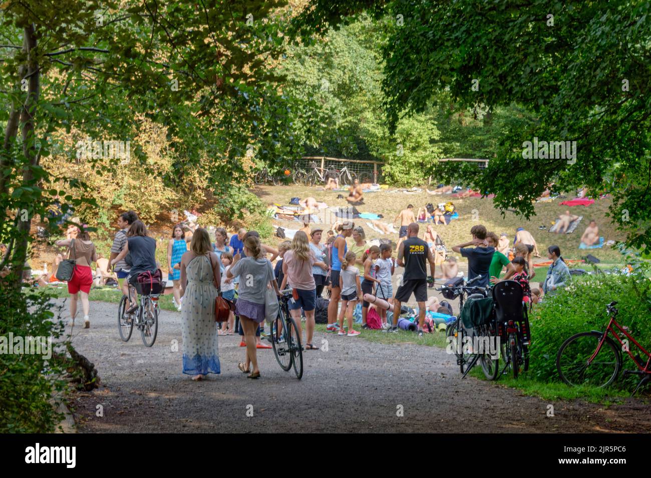Krumme Lanke, Badesee, Sommer à Berlin, See, Bezirk Steglitz-Zehlendorf ...
