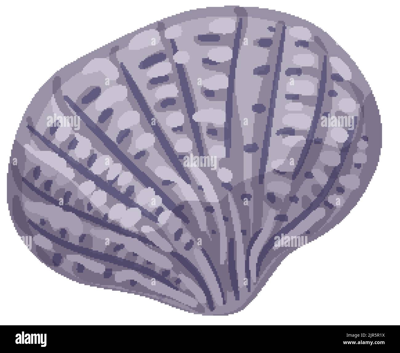 Mollusc shell illustration Banque d'images vectorielles - Page 2 - Alamy