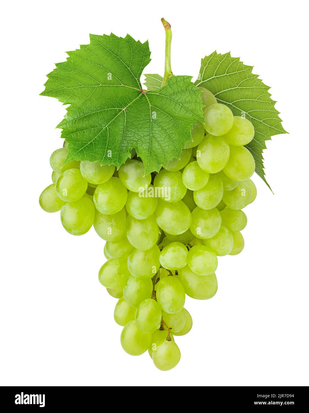 Raisin vert sur fond blanc Banque de photographies et d’images à haute ...