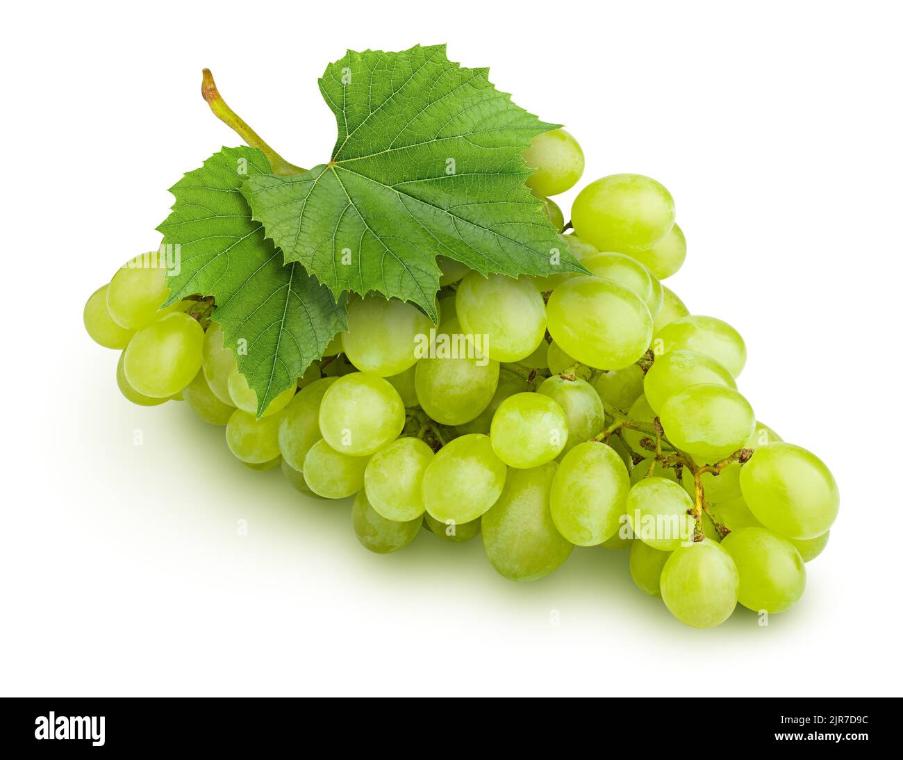 Raisin vert sur fond blanc Banque de photographies et d’images à haute ...