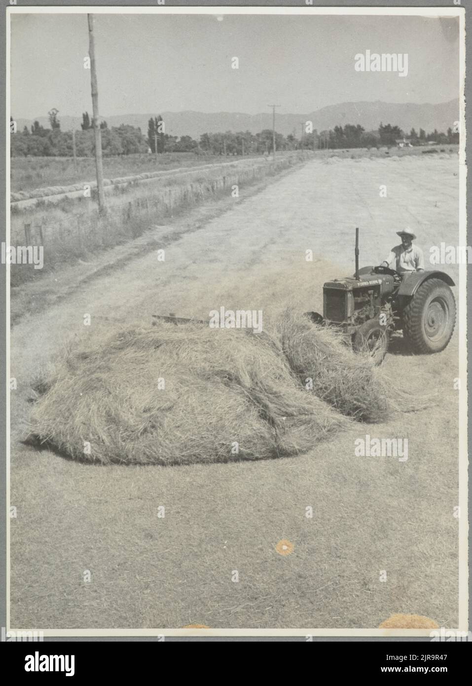 Ferme pukeora Banque de photographies et d’images à haute résolution ...